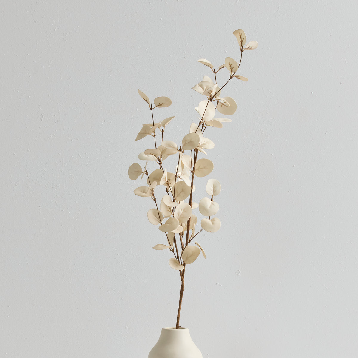 Autumn Branch - Cream – nood